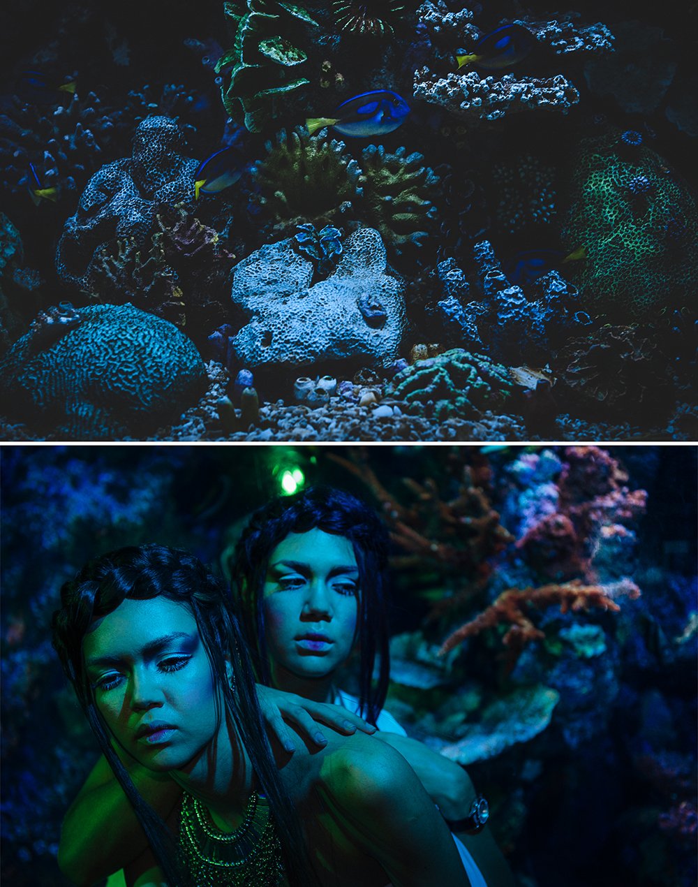 Medusa by Angie Polanco | The Light Square