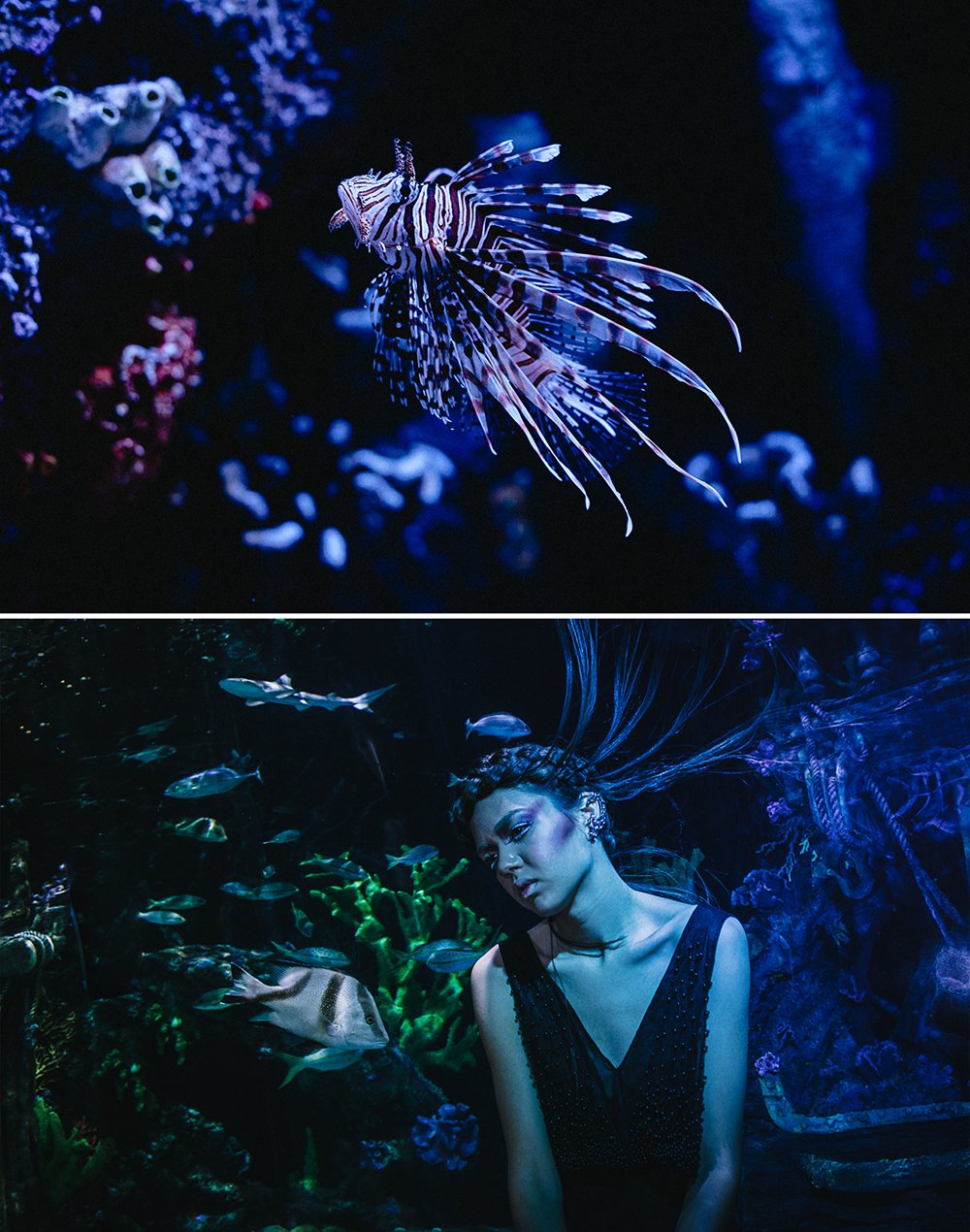 Medusa by Angie Polanco | The Light Square